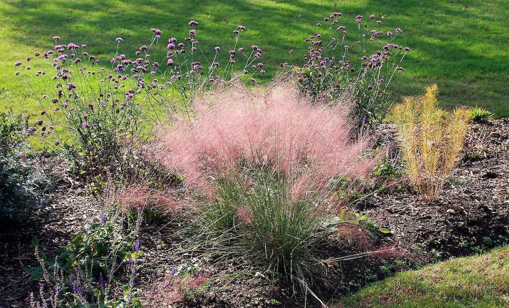 Making a Garden for Changing Climes - Bluedot Living