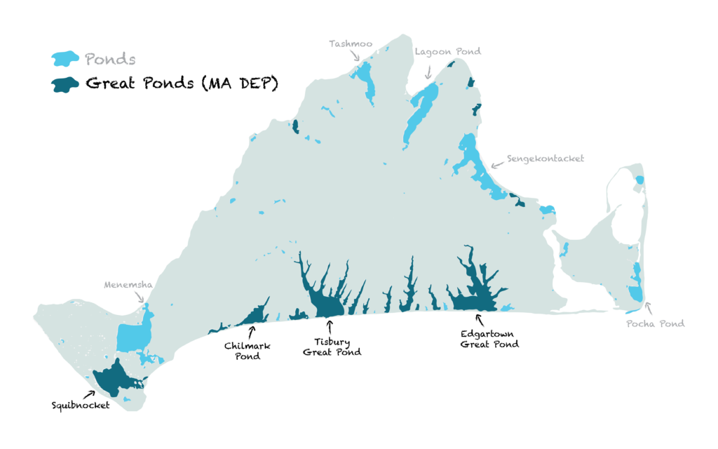 In Search of Greatness: Martha's Vineyard's Great Ponds - Bluedot Living