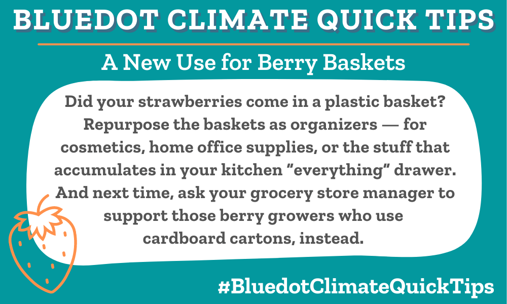 Climate Quick Tip: A New Use for Berry Baskets - Bluedot Living