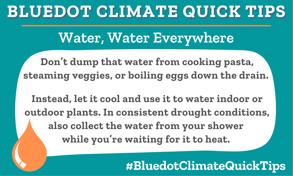 Climate Quick Tip: Water, Water Everywhere - Bluedot Living