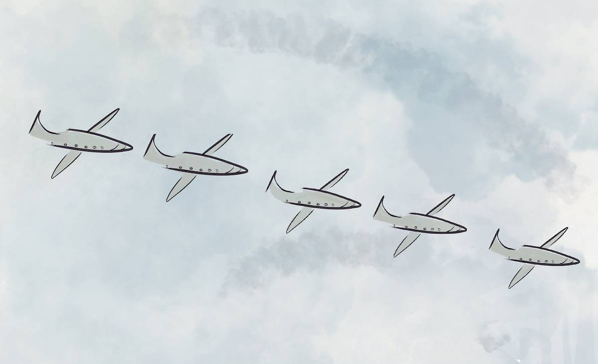 Poll: Flying Less? - Bluedot Living