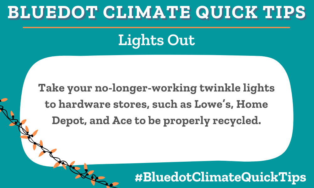 Climate Quick Tip: Lights Out - Bluedot Living