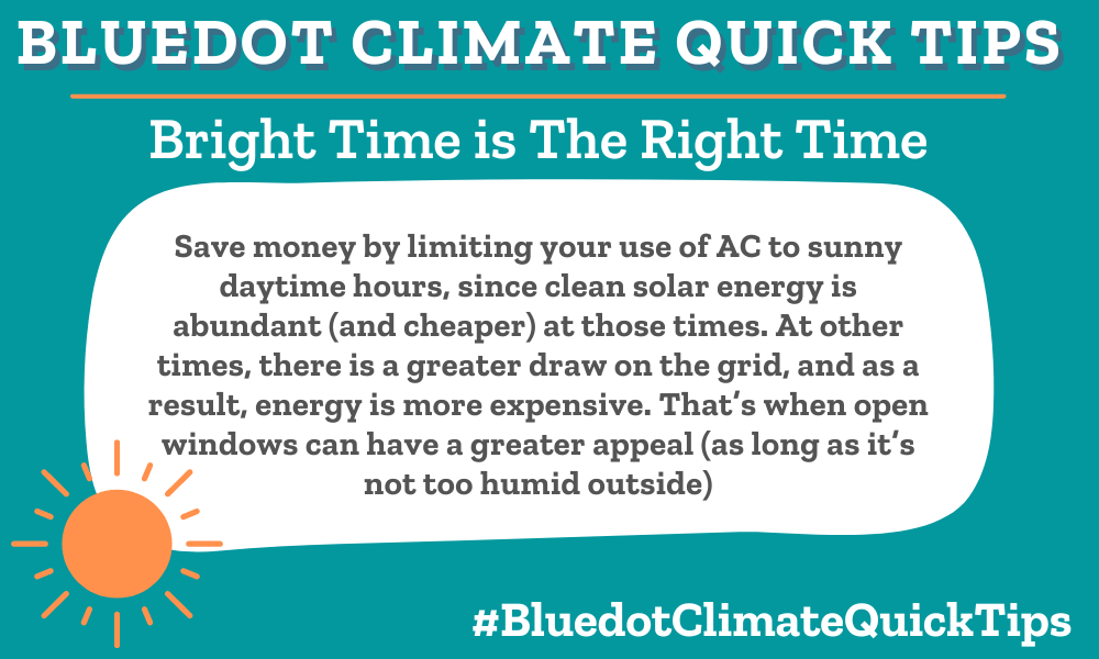 Climate Quick Tip: Bright Time is The Right Time - Bluedot Living