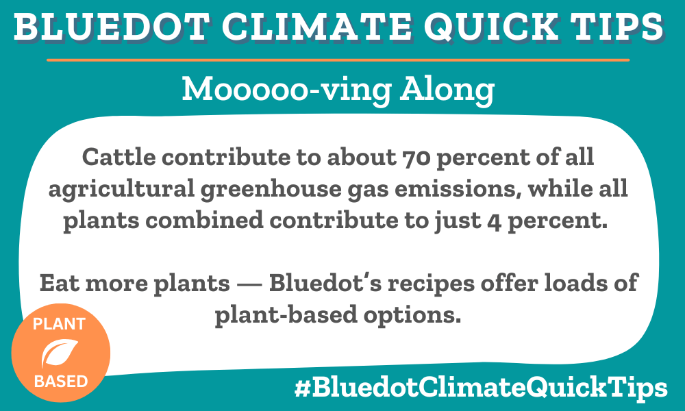 Climate Quick Tip: Mooooo-ving Along - Bluedot Living