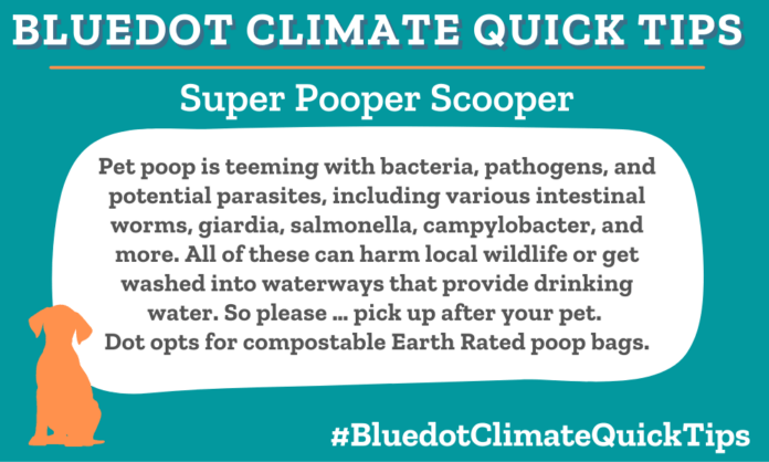 Climate Quick Tip: Super Pooper Scooper - Bluedot Living