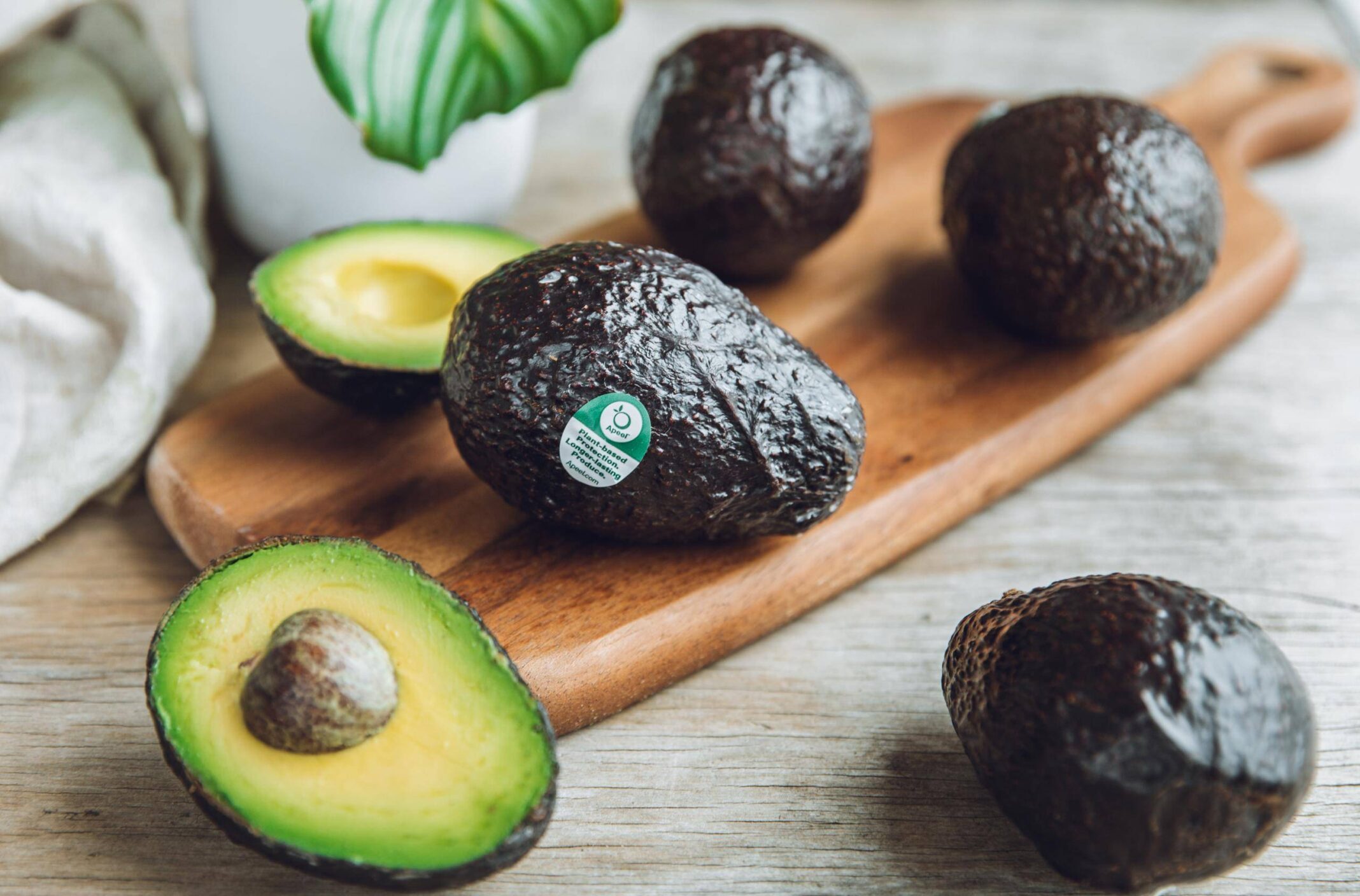Using Nature to Fight Food Waste - Bluedot Living