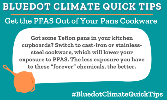 Climate Quick Tip: Get the PFAS Out of Your Pans Cookware - Bluedot Living