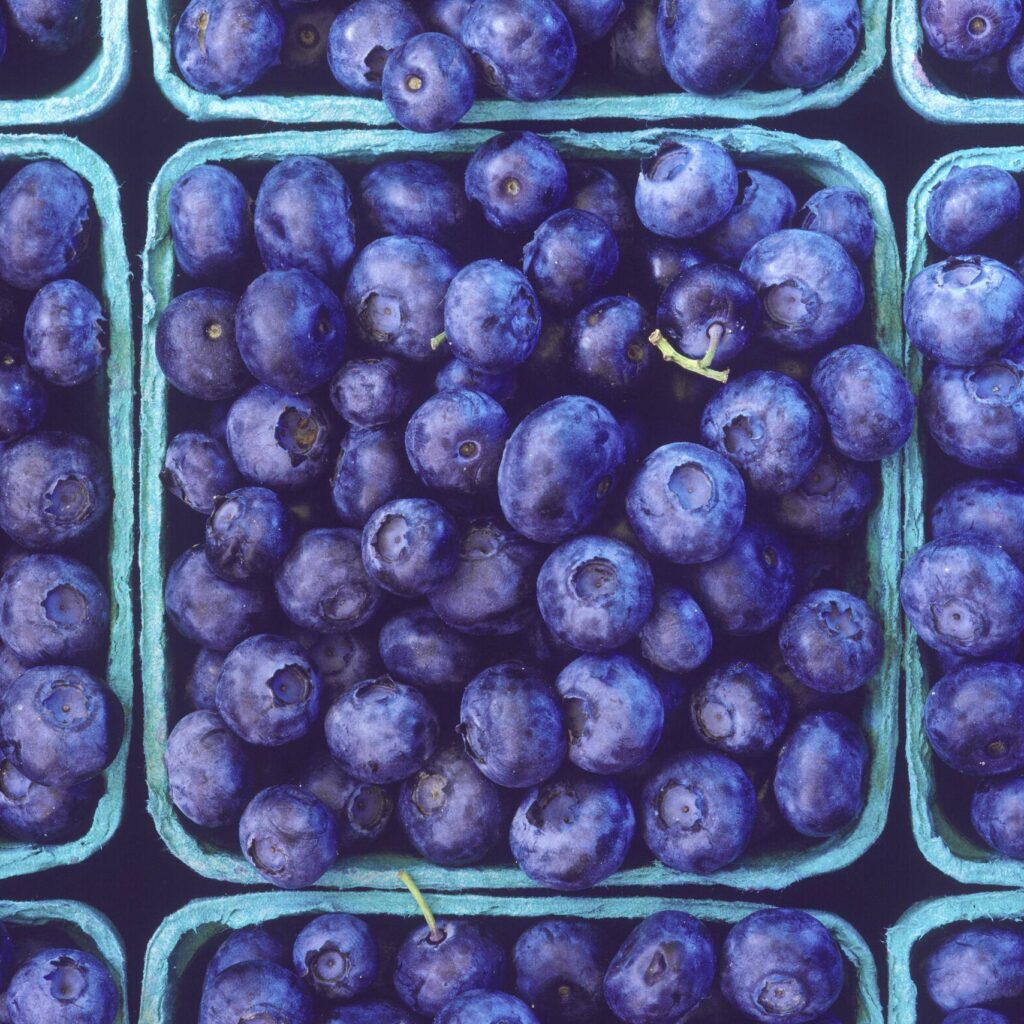 Local Eating is Good Eating - Bluedot Living
