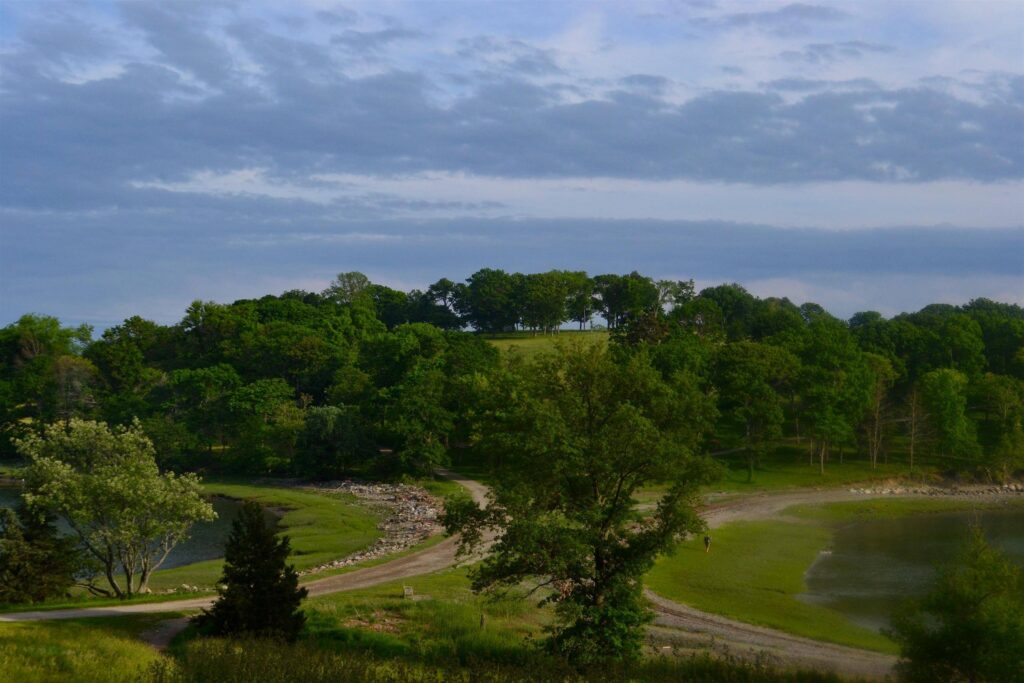 Five Great Hikes in Greater Boston - Bluedot Living