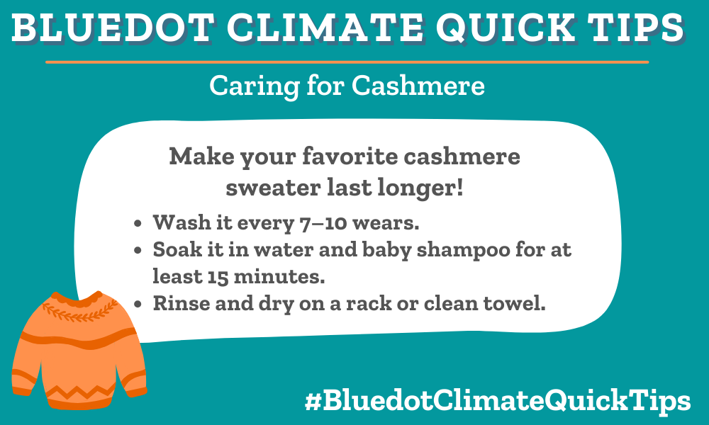 Climate Quick Tip: Caring for Cashmere - Bluedot Living