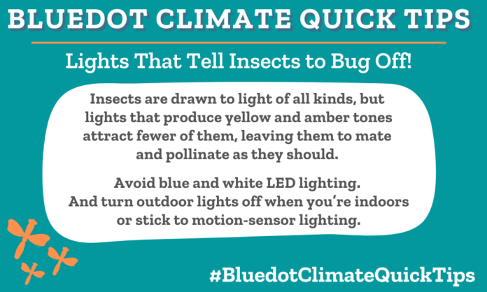 Climate Quick Tip: Lights That Tell Insects to Bug Off! - Bluedot Living