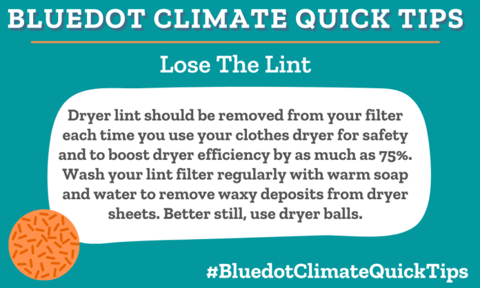 Climate Quick Tip: Lose The Lint - Bluedot Living