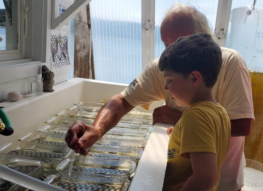 Local Hero: Rick Karney - Bluedot Living
