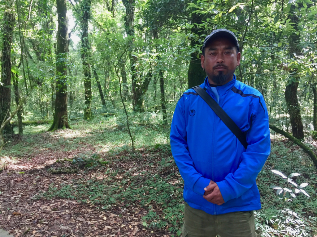 Protecting the Sacred Groves of Meghalaya - Bluedot Living