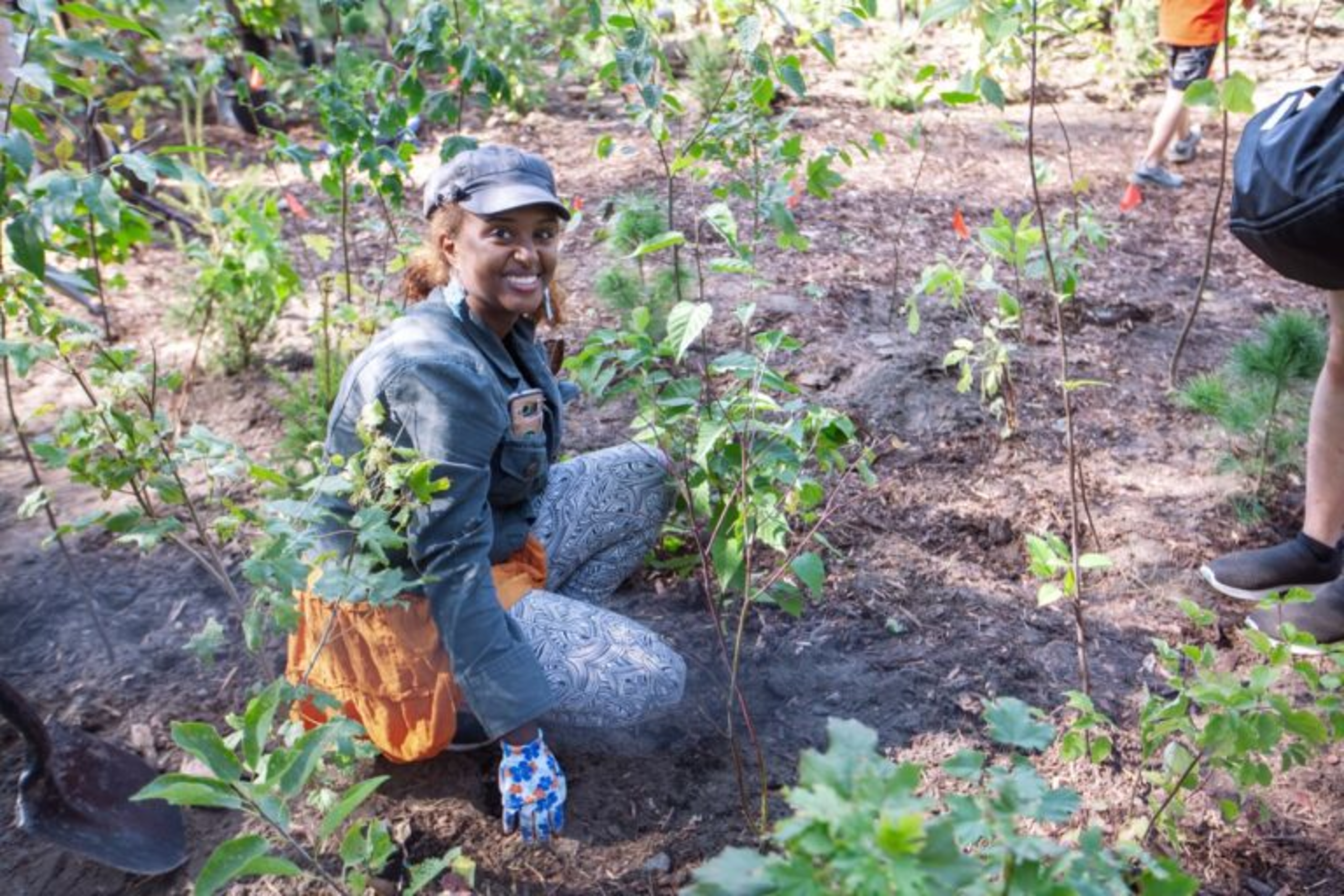 Toronto Joins the Micro Forest Movement - Bluedot Living