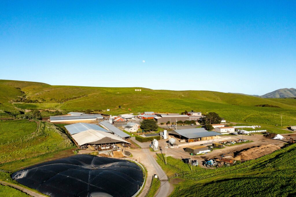 Mooo-ving Toward Clean Energy - Bluedot Living