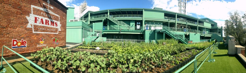 Fielding a Farm Above Fenway Park - Bluedot Living