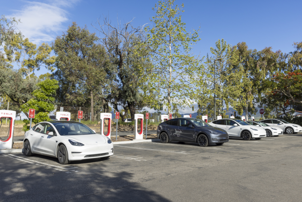 Electrify Your Life - Bluedot Living