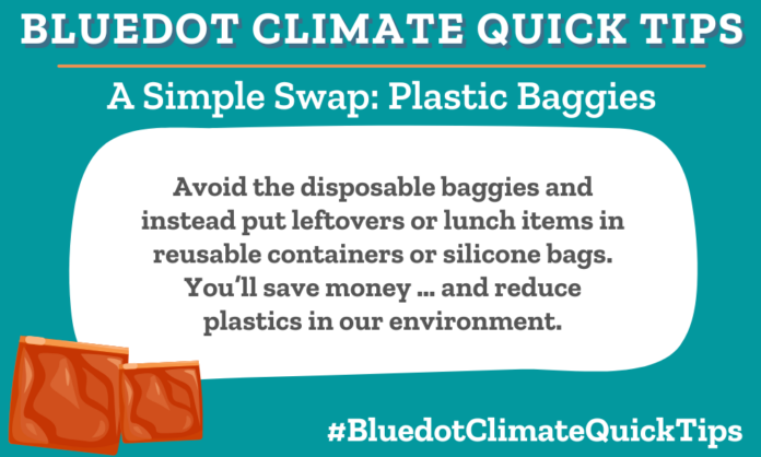 Climate Quick Tips: A Simple Swap for Plastic Baggies - Bluedot Living