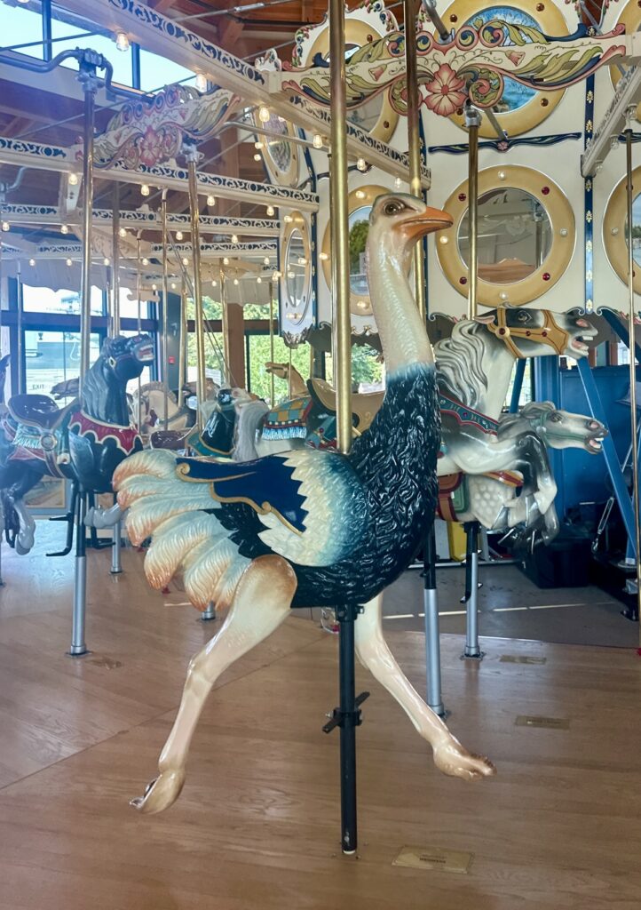 Sun and Horse Power - Bluedot Living