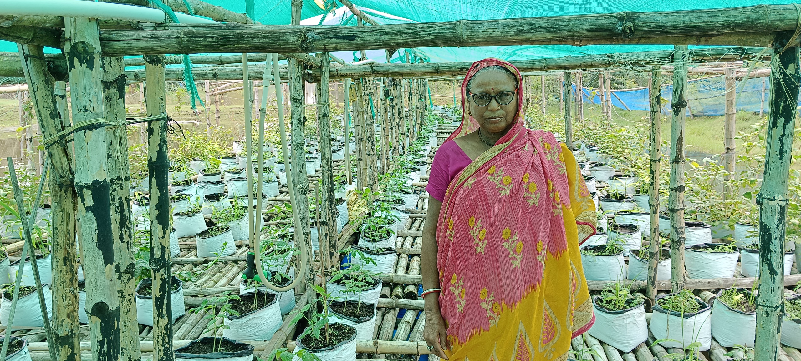 Floating Farms - Bluedot Living