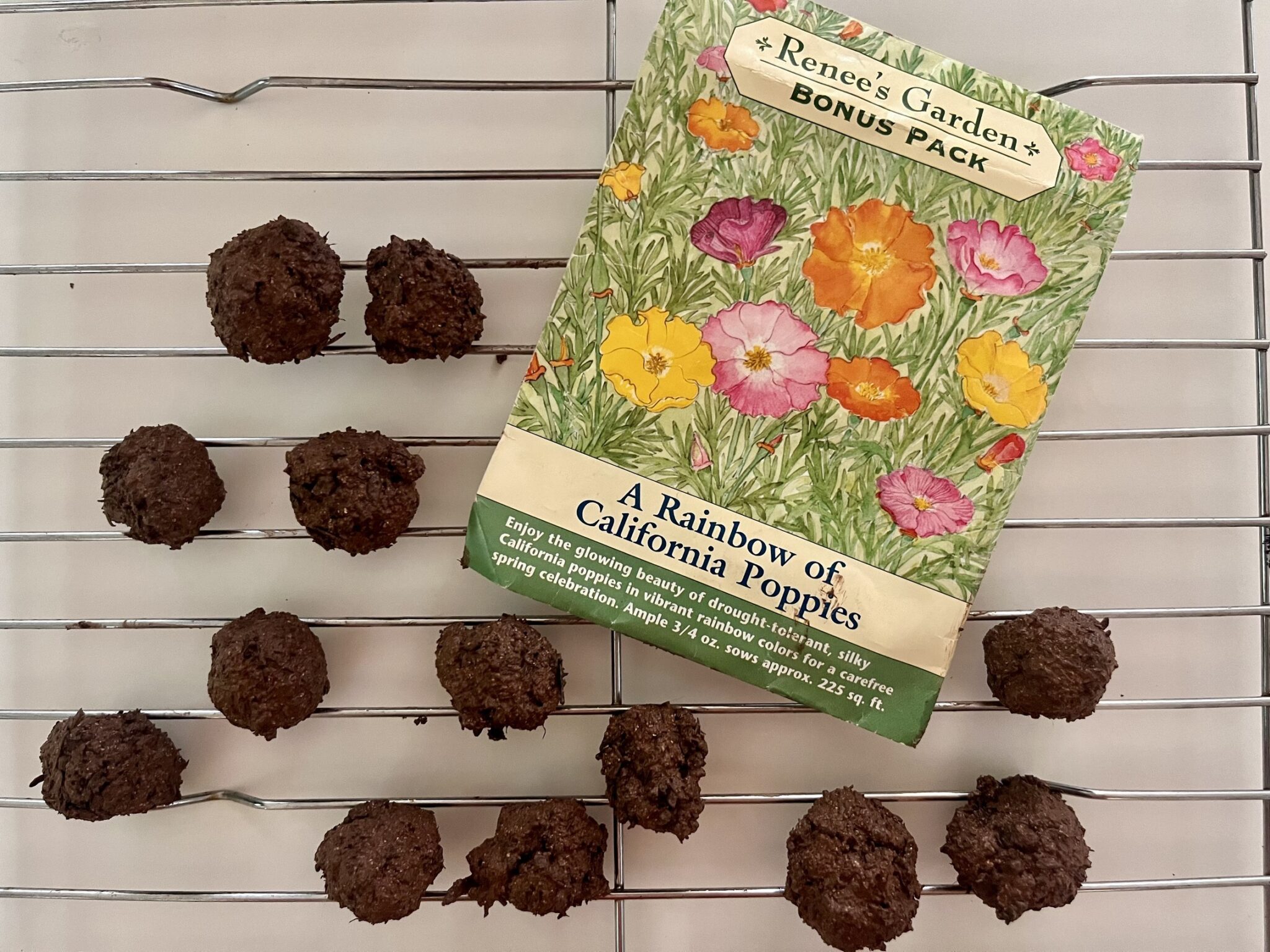 DIY Seed Balls That Are the Bomb - Bluedot Living