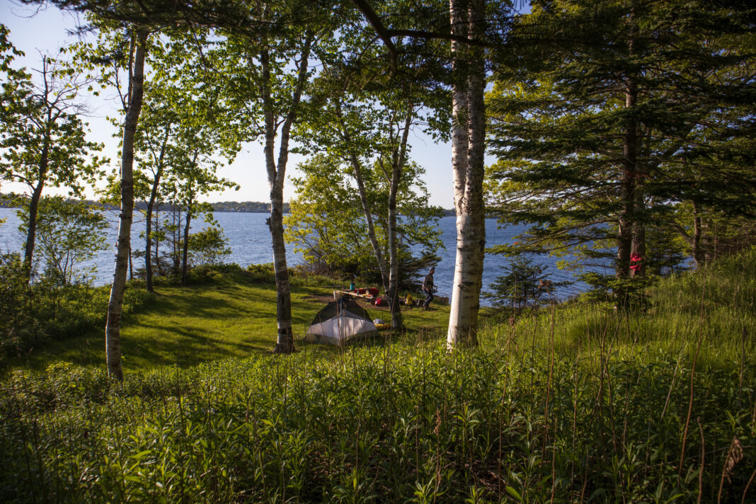 Cooking While Camping - Bluedot Living