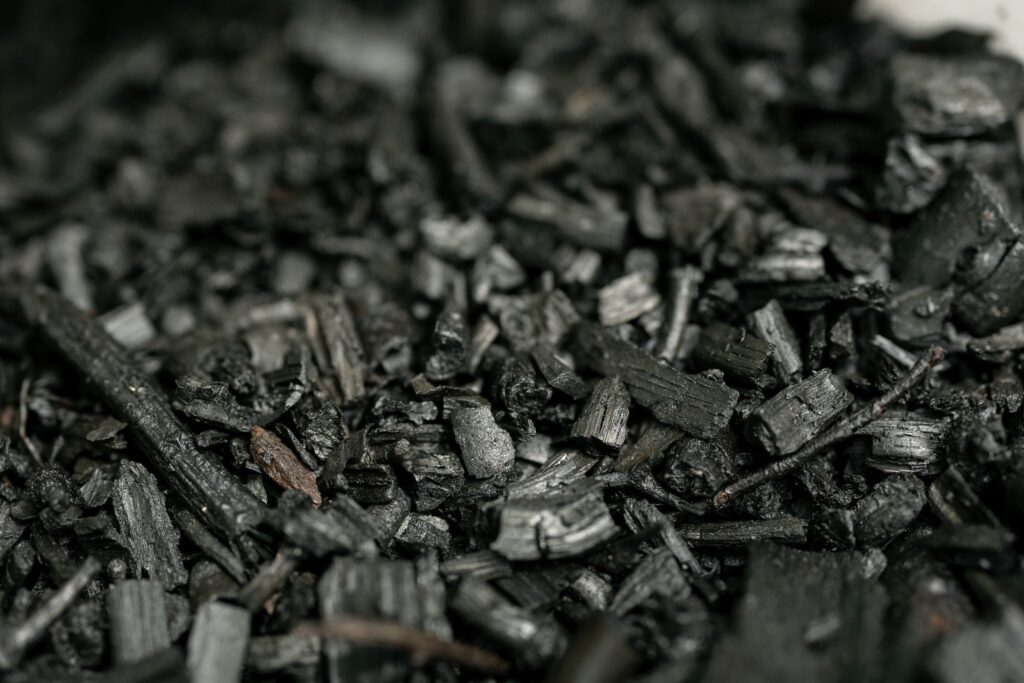 What is Biochar? - Bluedot Living