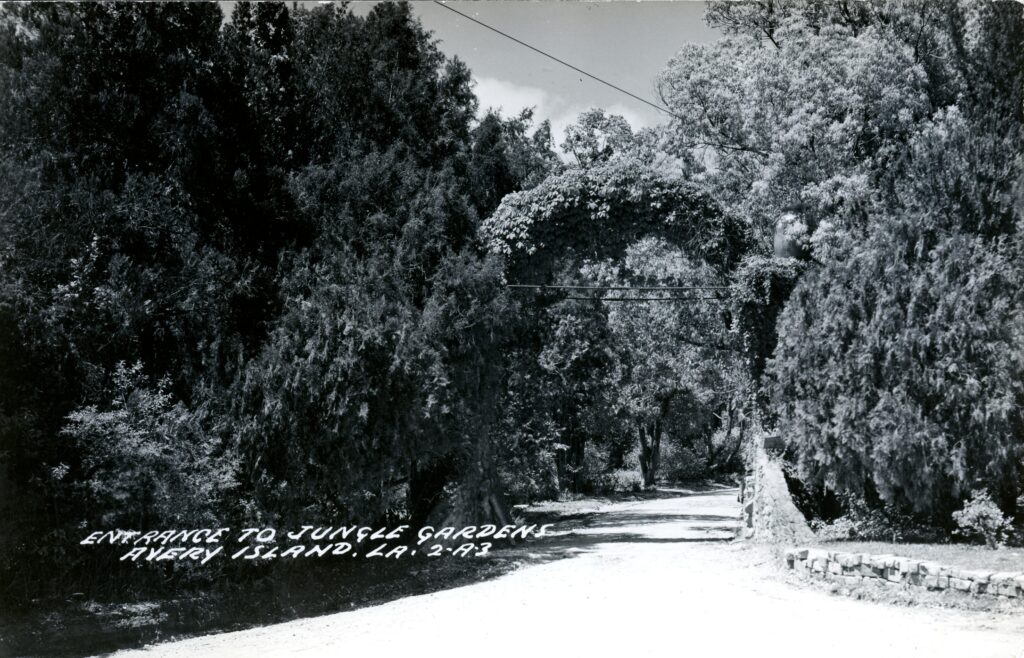 How a Hot-Sauce Heir Helped Save the Snowy Egret - Bluedot Living