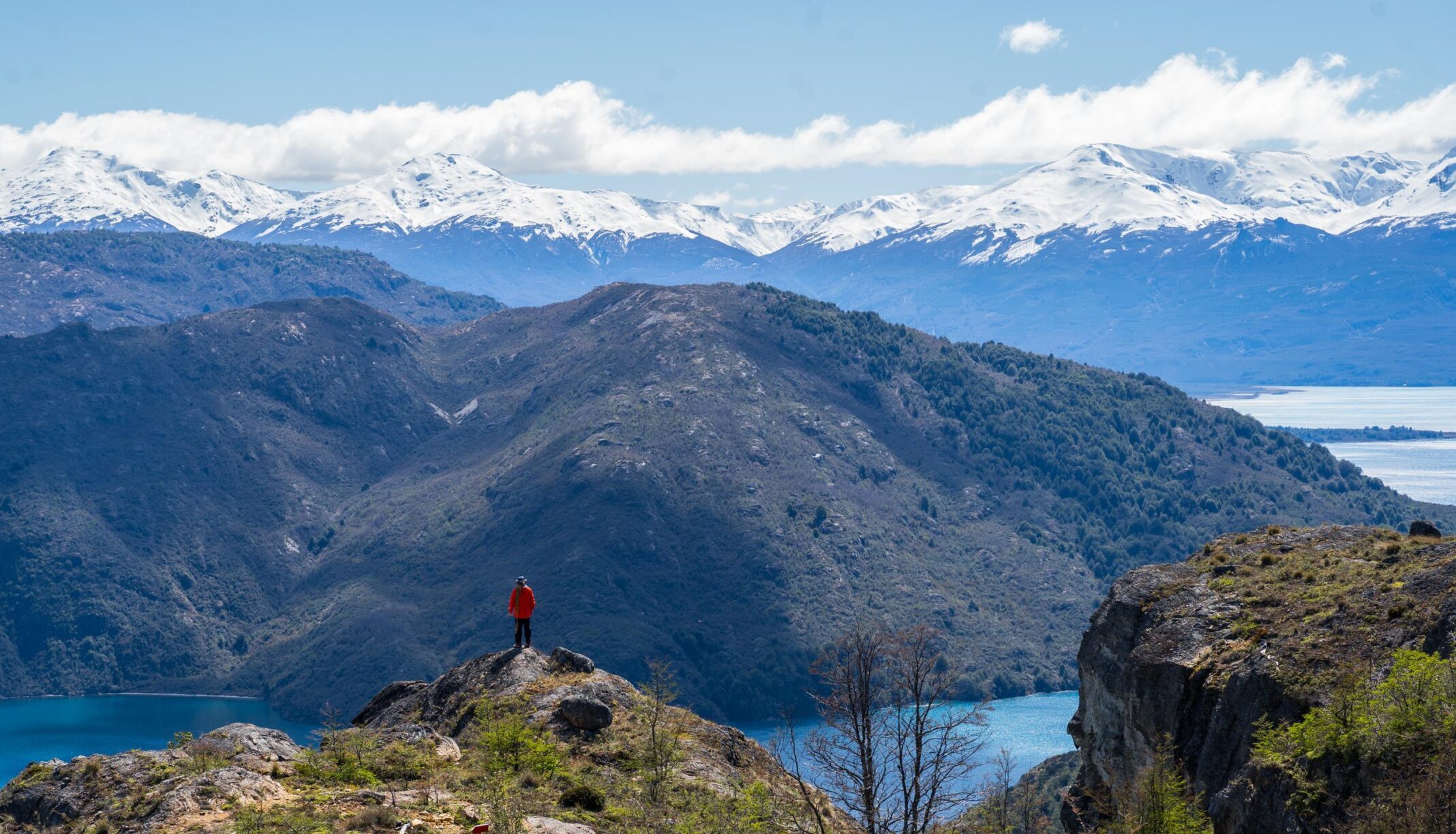 Rewilding Patagonia: The Work Behind the Wonder - Bluedot Living