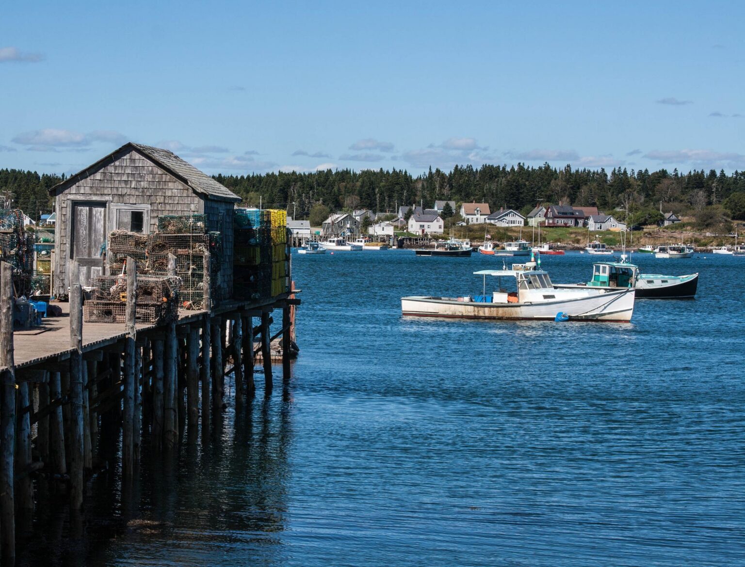 Dead Fish and Statehouse Battles: Fighting Fish Farms in Maine ...