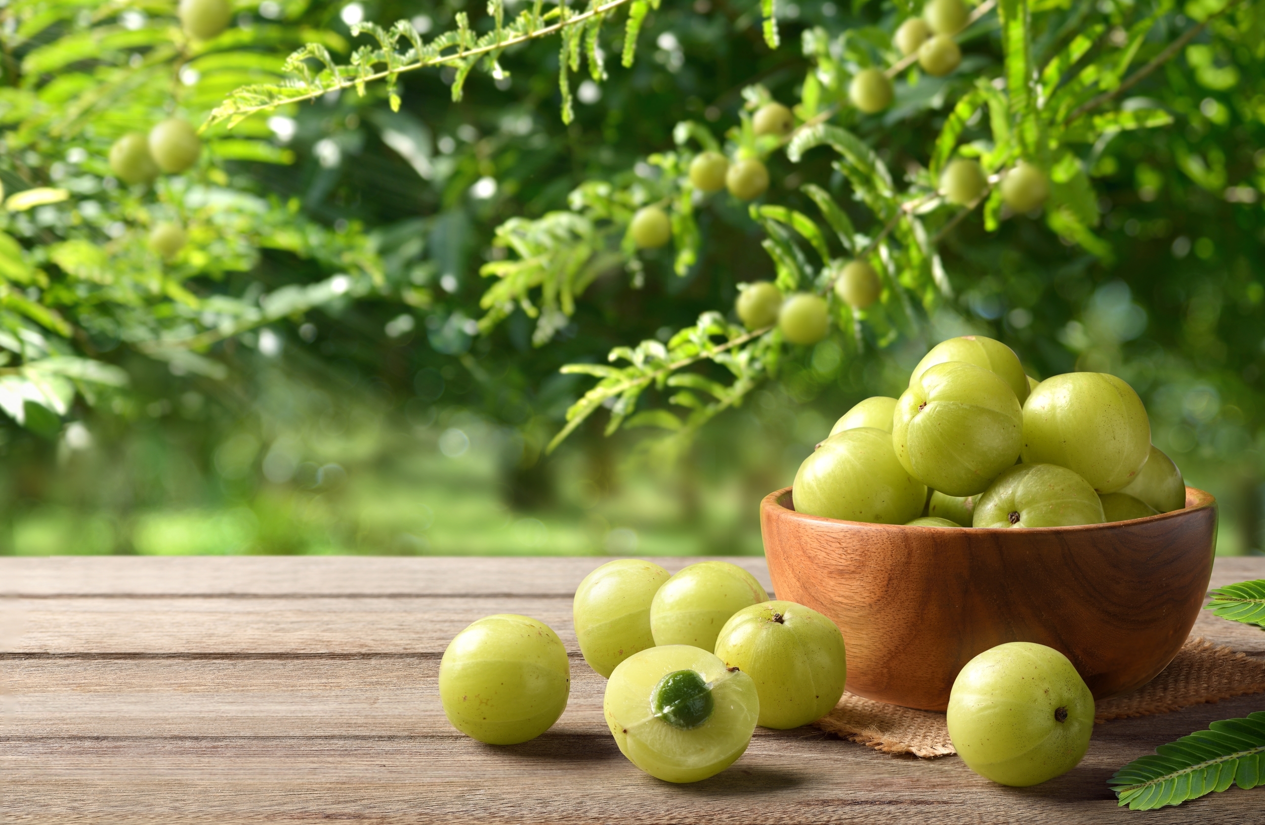 What Is Amla Powder — and Should You Be Eating It? - Bluedot Living
